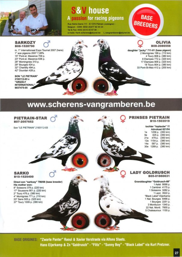 Louis Vangramberen† & Frank Scherens – Brieftauben-Markt.de