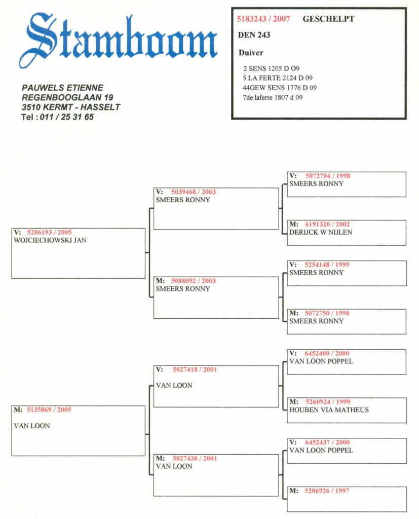 B07-5183243 Den 243 – Brieftauben-Markt.de