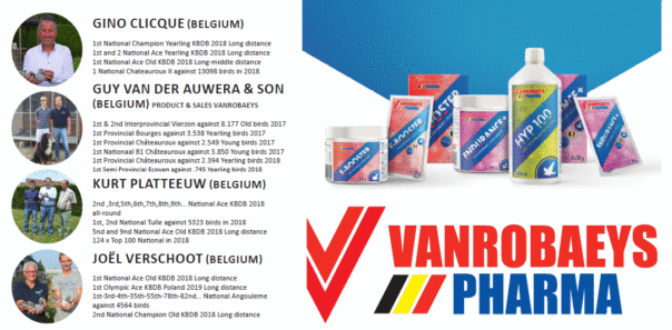 Wieder Super-Ergebnisse von VANROBAEYS Kunden… – Brieftauben-Markt.de