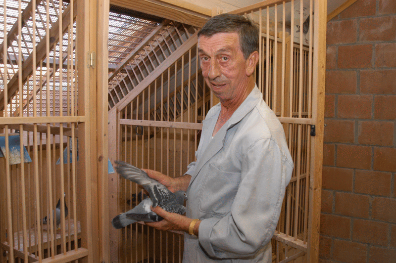 FILIP HERBOTS ist mit 79 Jahren verstorben… – Brieftauben-Markt.de