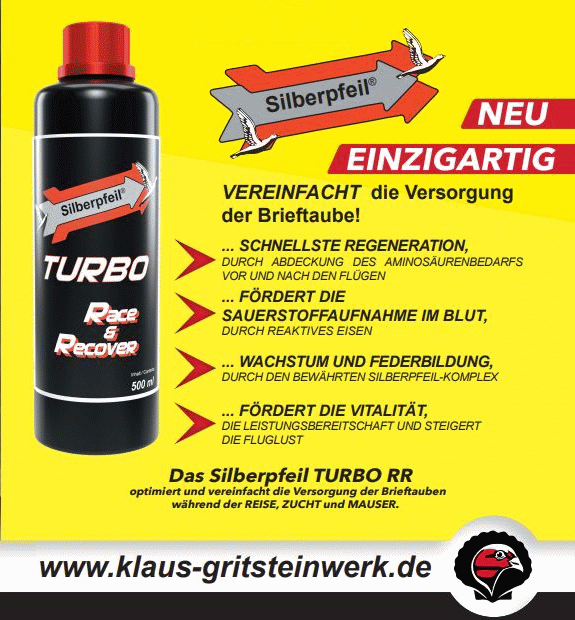 NEU 2024 !!! KLAUS SILBERPFEIL TURBO RR… – Brieftauben-Markt.de