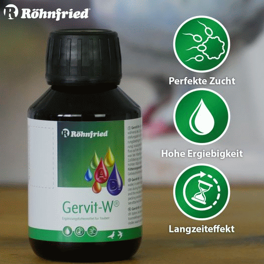 Gervit-W® – für eine perfekte Zucht… – Brieftauben-Markt.de